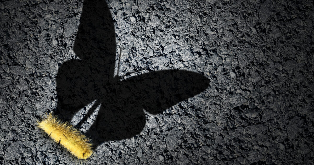 JONCRYL® HPD 496-A | BASF