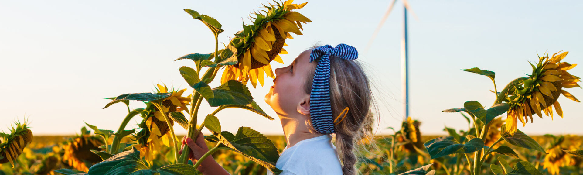 SOVERMOL® 1092 | BASF