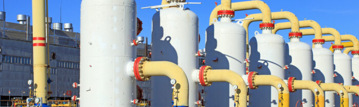 SOVERMOL® 100 | BASF