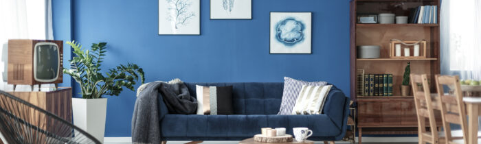 DISPEX® CX 4348 | BASF